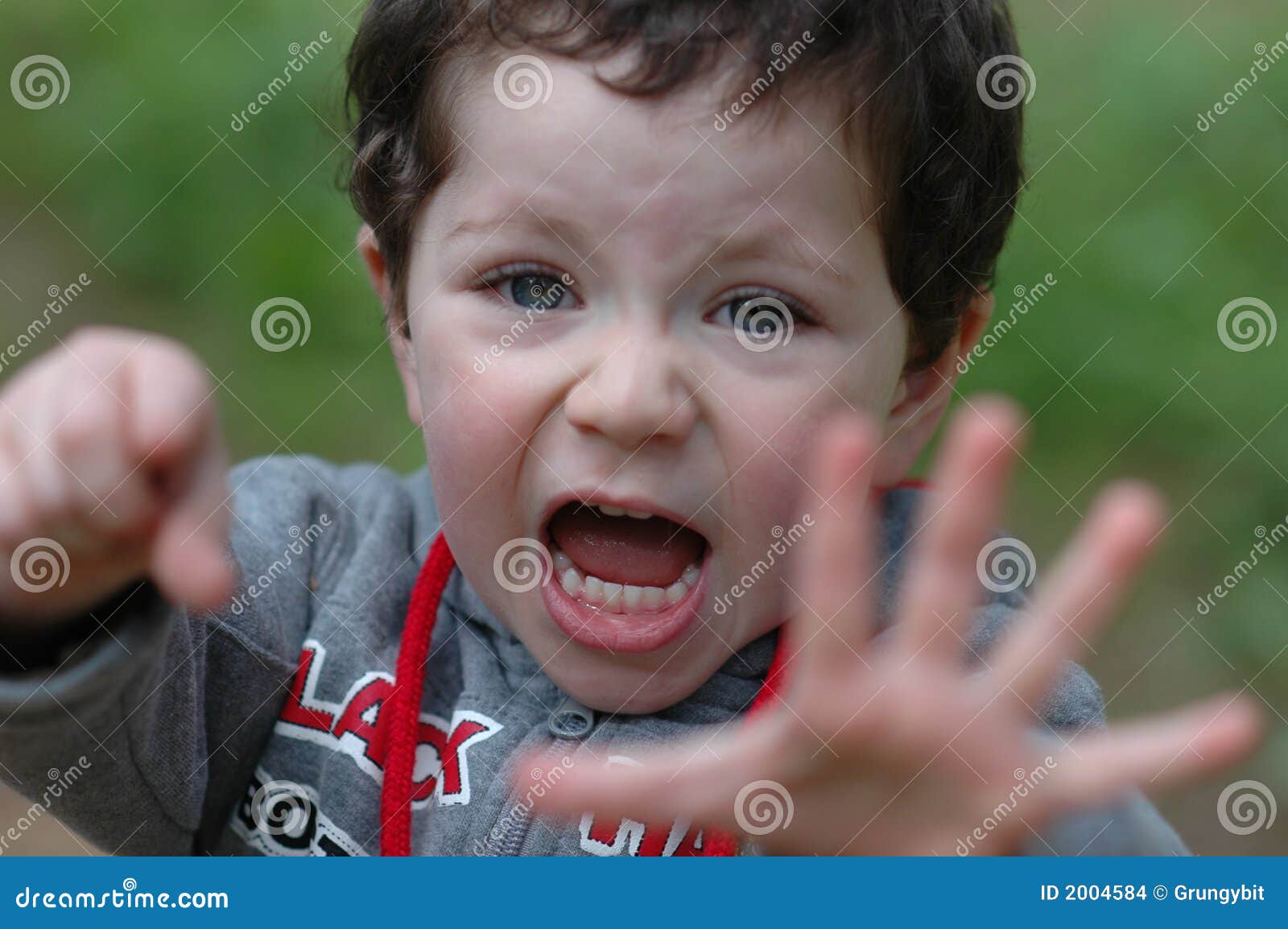Excited boy portrait stock photo. Image of children, outdoor - 2004584