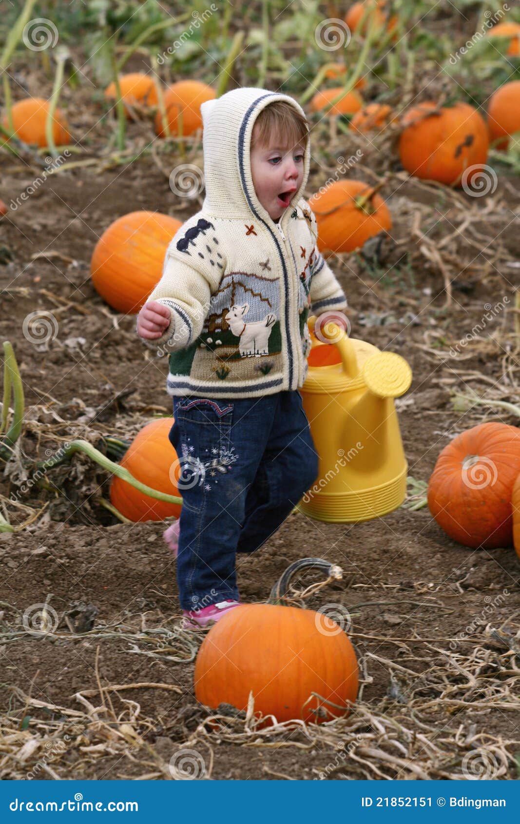 Excited Child Running in Pumpkin Patch Stock Image - Image of ...