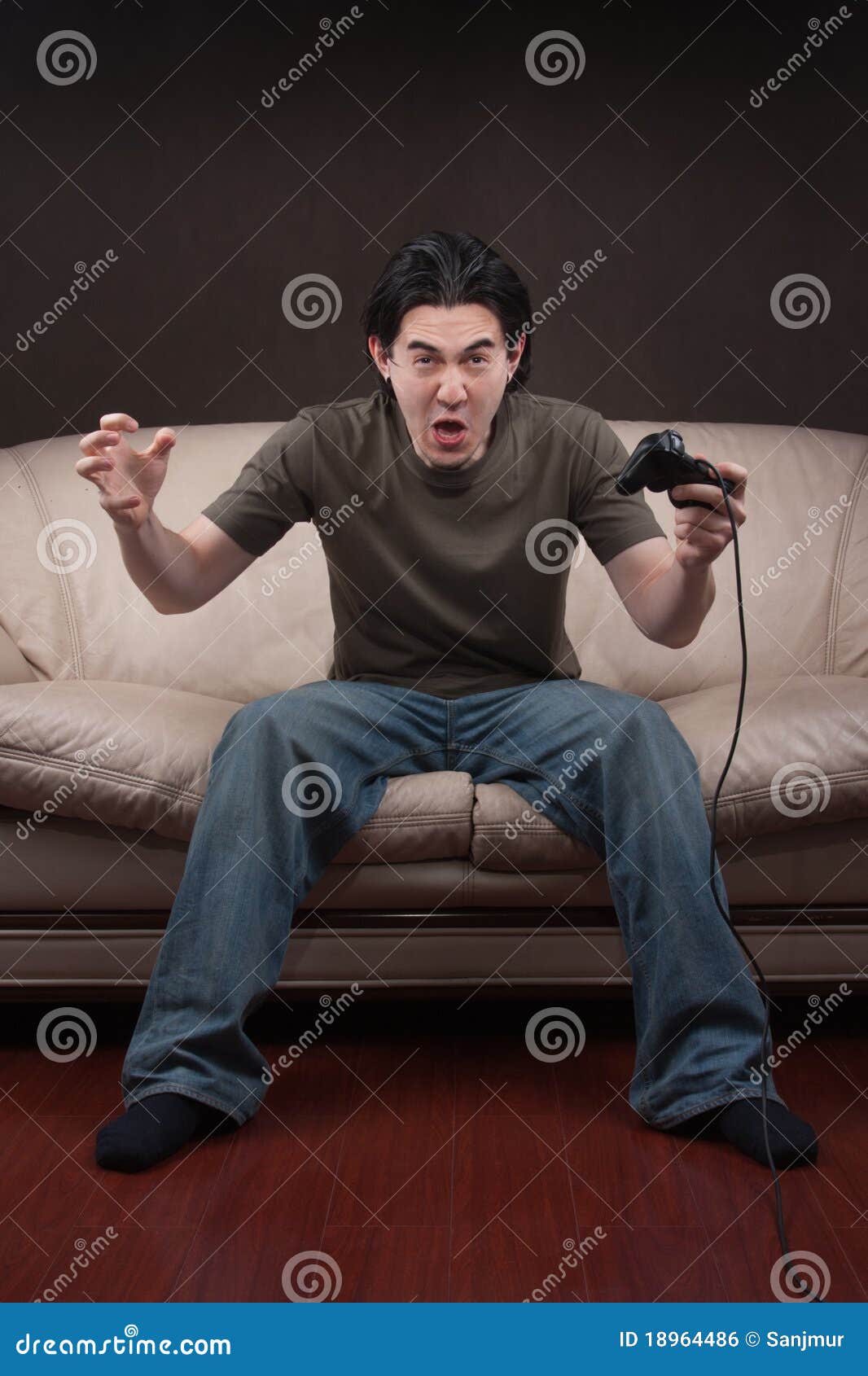 Excited gamer stock photo. Image of male, excitement - 18964486