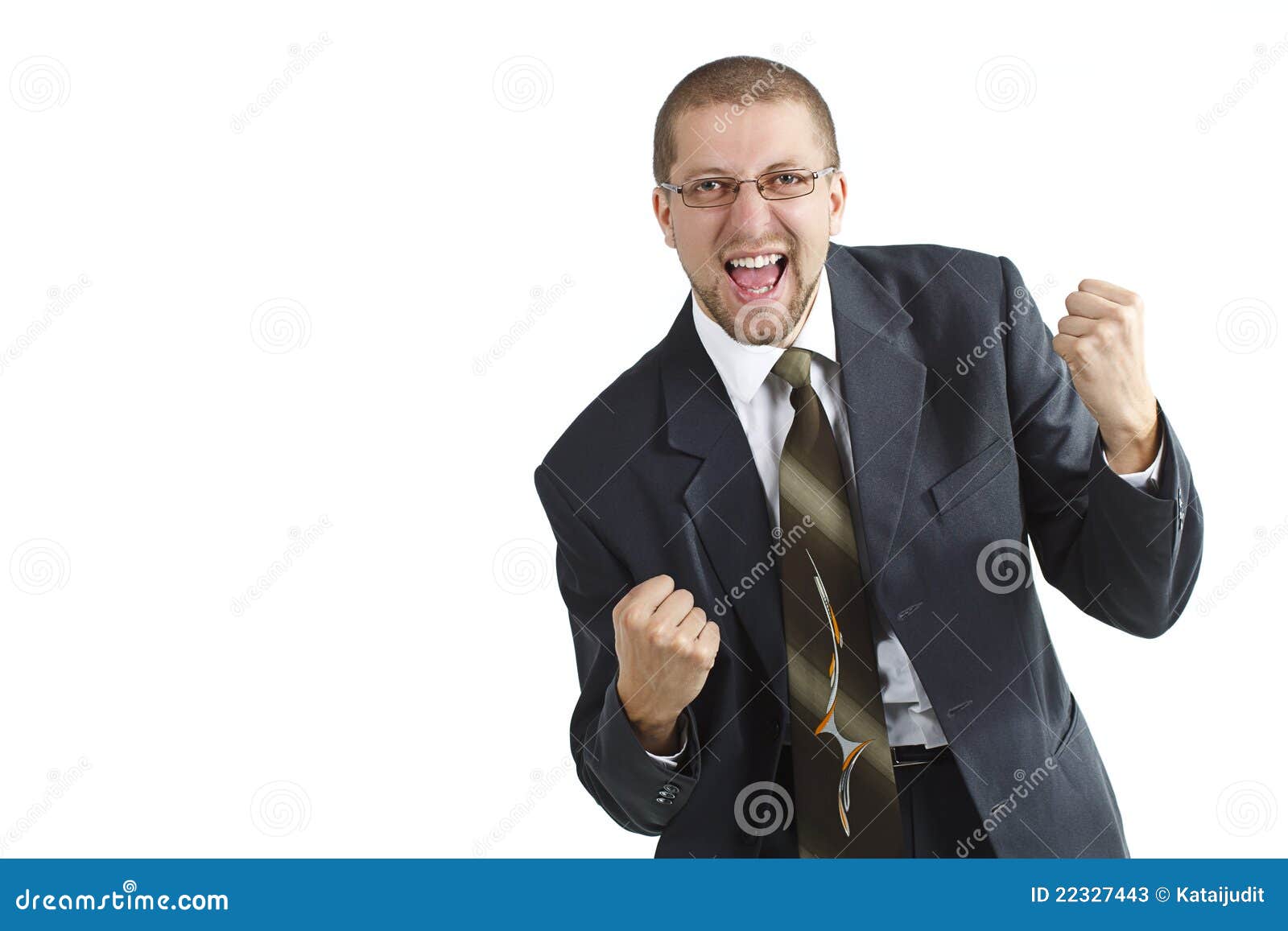 Excited Handsome Businessman Stock Image - Image of happy, model: 22327443