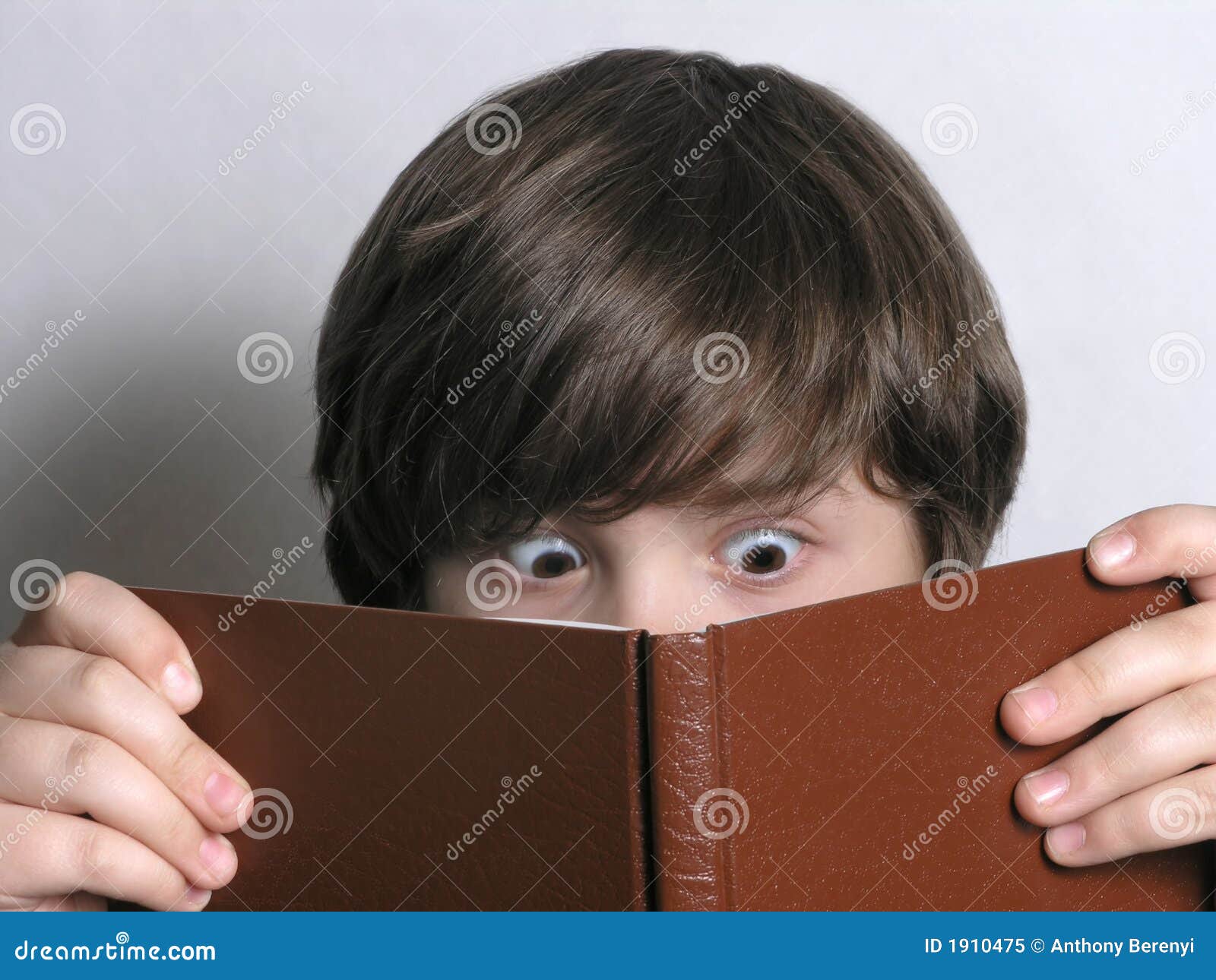 Excited Young Reader stock image. Image of brown, study - 1910475