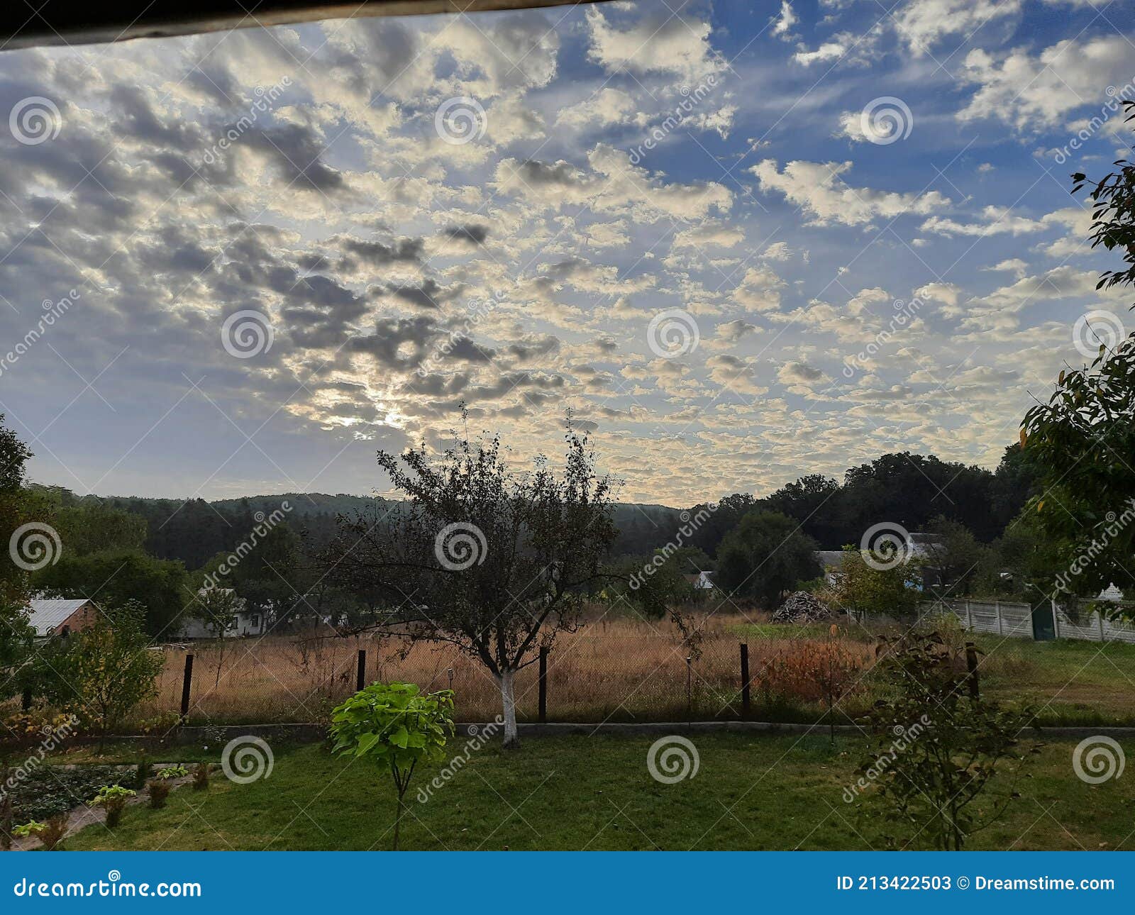 So exciting nature stock image. Image of plant, morning - 213422503