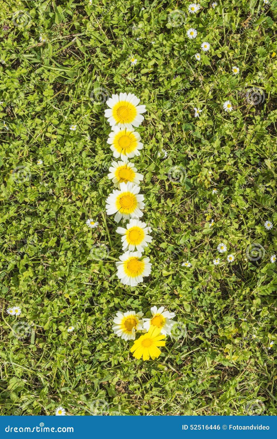 Exclamation Mark Flower Alphabet Stock Photos - Free & Royalty-Free ...