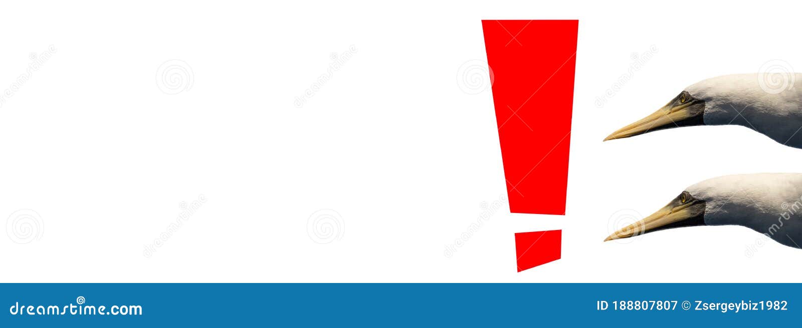 Exclamation Mark Blank Template Stock Photos - Free & Royalty-Free ...