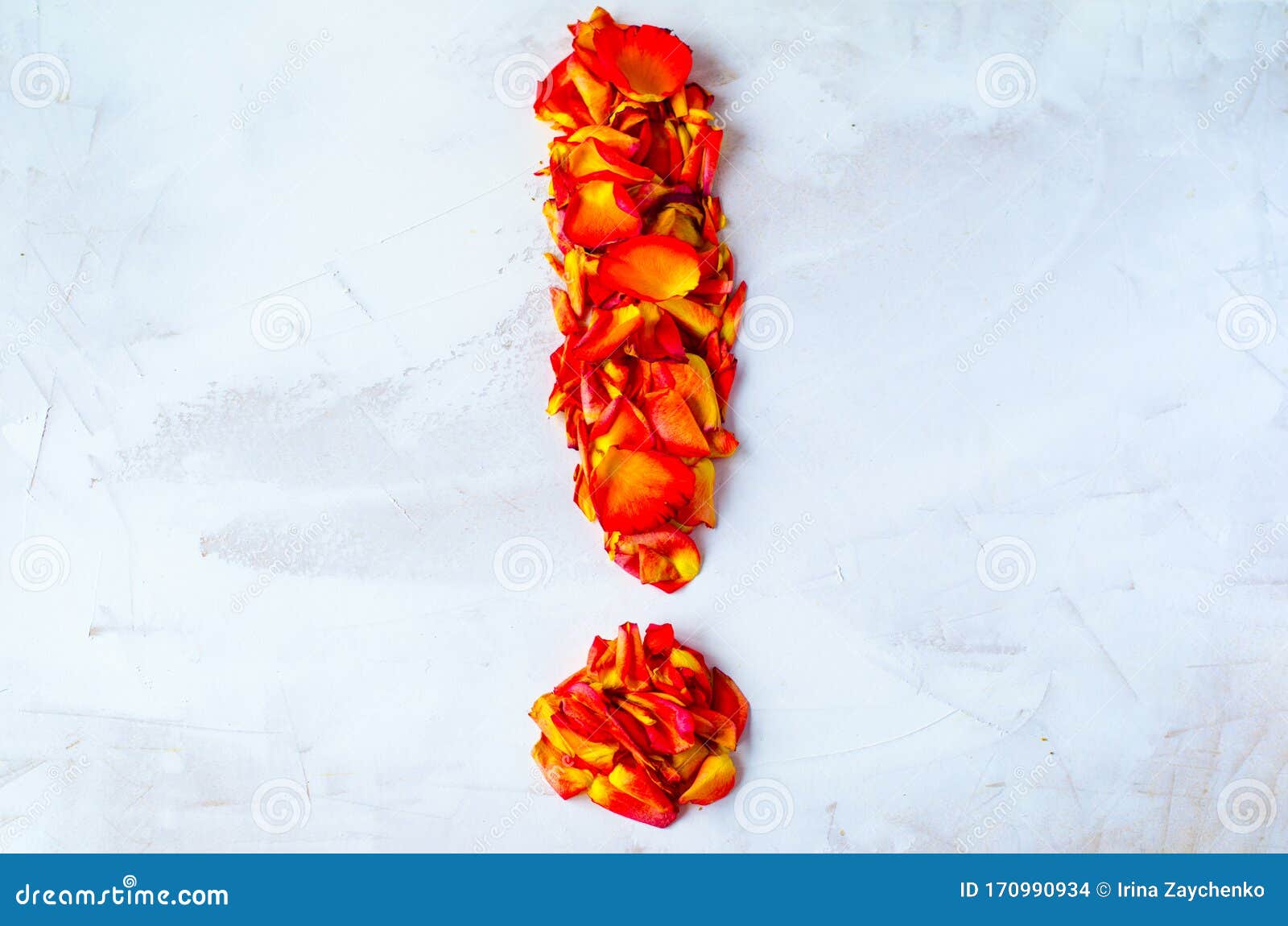 Exclamation Mark Symbol of Rose Petals Stock Photo - Image of filigree ...