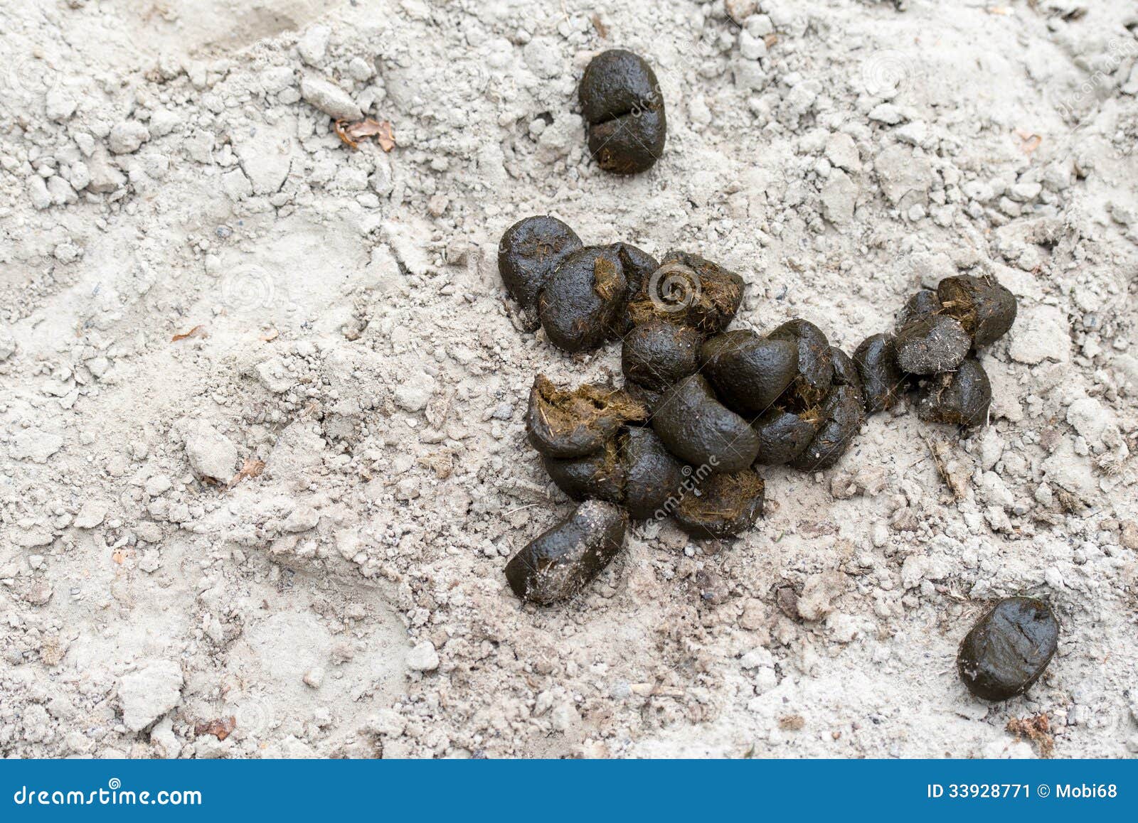 Excrement stock image. Image of excrement, steaming, shit - 33928771