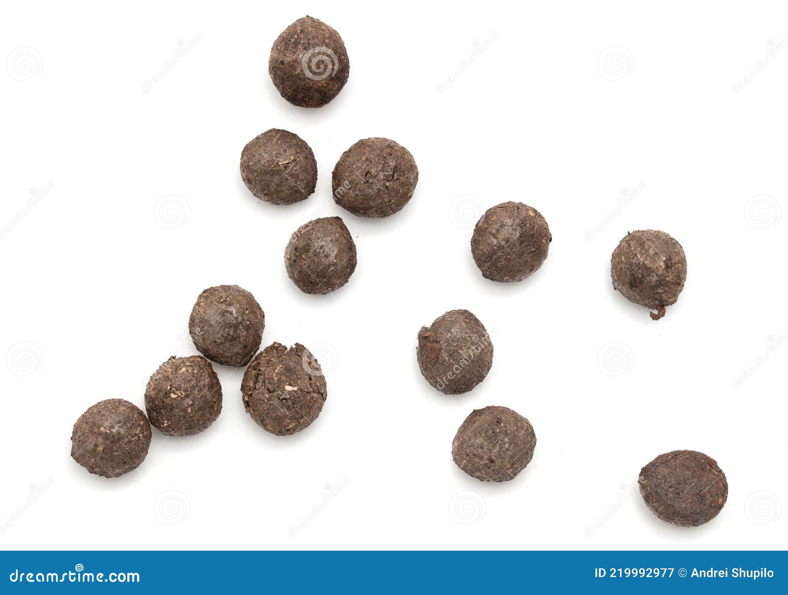 Excremento De Conejo Aislado Sobre Blanco Imagen de archivo - Imagen de ...