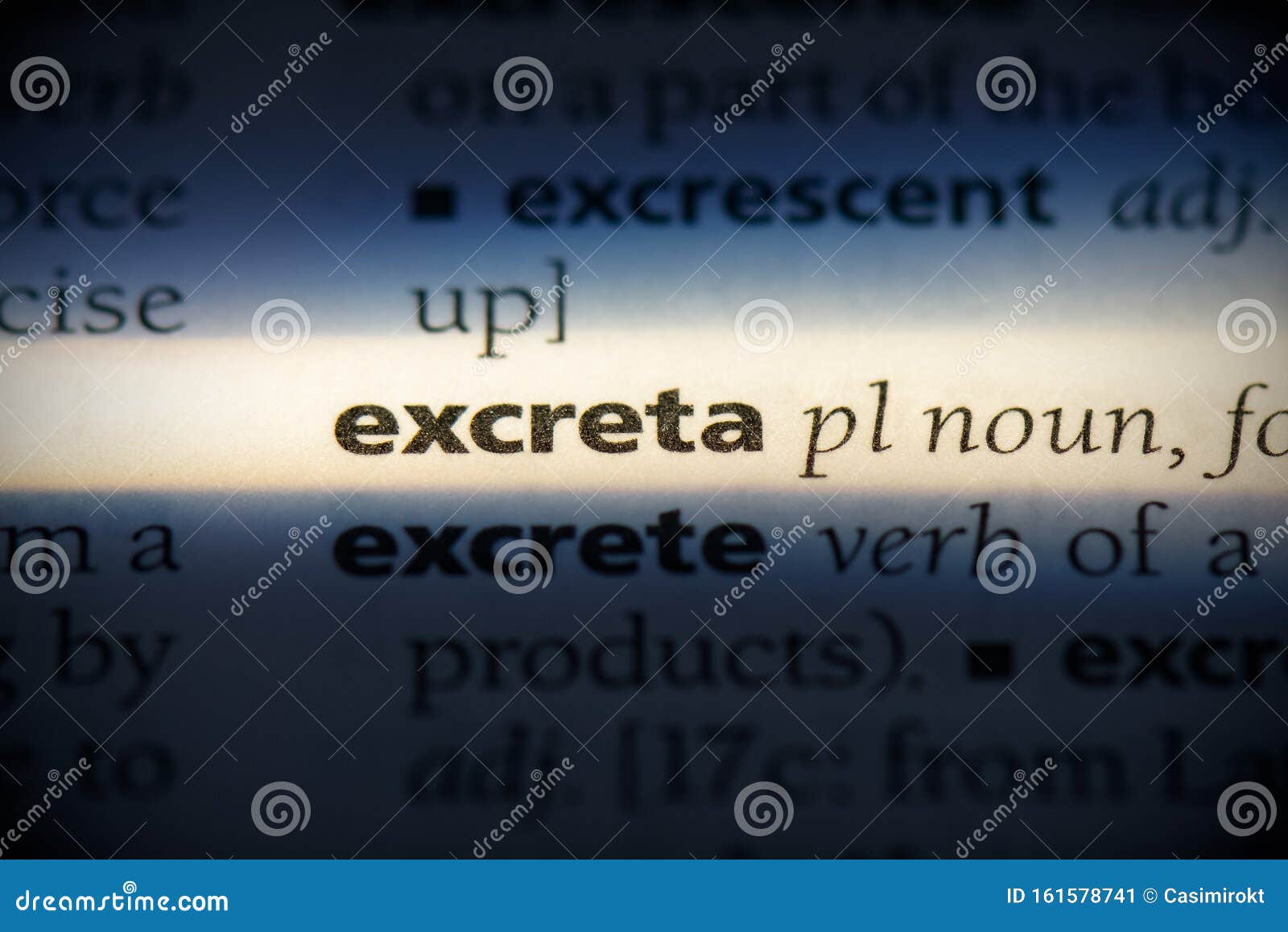 Excreta stock image. Image of focus, learn, word, detail - 161578741
