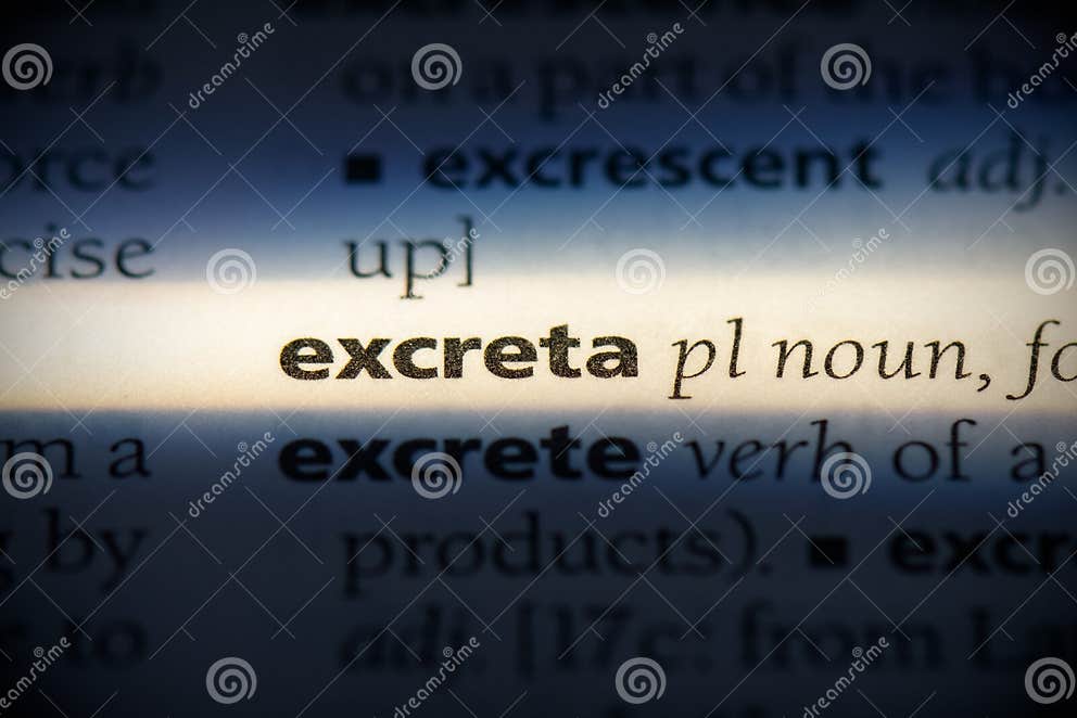 Excreta stock image. Image of focus, learn, word, detail - 161578741