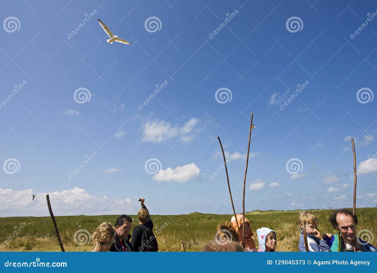 Excursie, Excursie redactionele stock foto. Image of recreatie - 129045373
