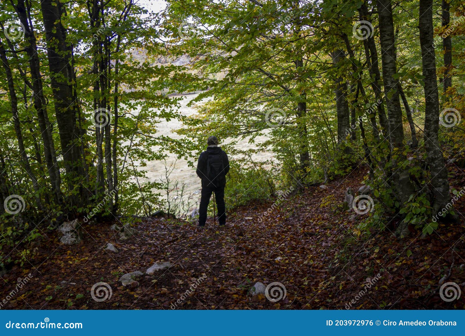 Excursionismo en el bosque foto de archivo. Imagen de petate - 203972976