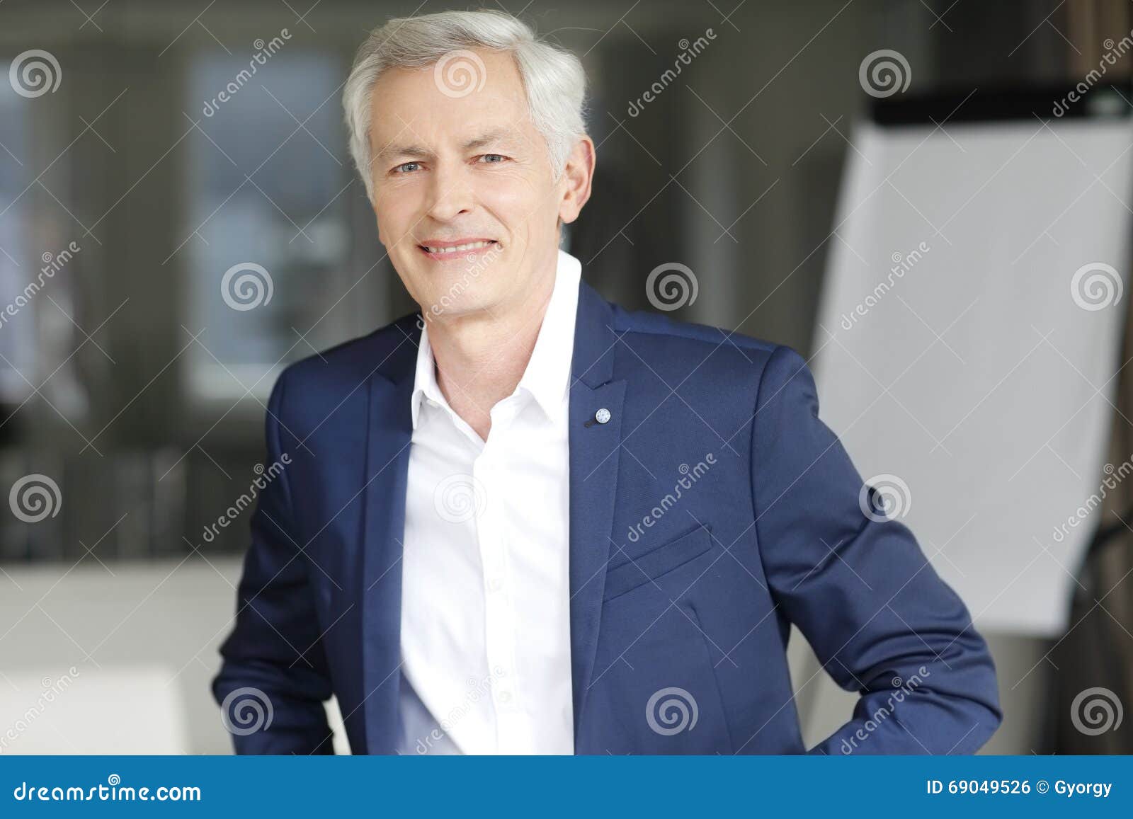 Executive Businessman Portrait Stock Photo - Image of administrator ...