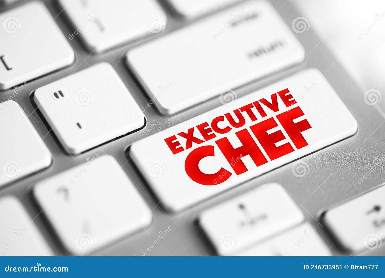 Executive Chef - Leads and Manages the Kitchen and Chefs of a ...