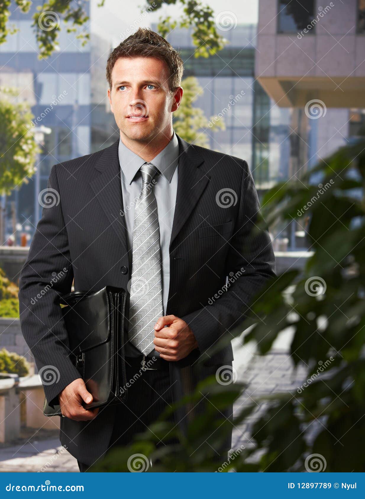 Executive Going To Work with Briefcase Stock Image - Image of color ...