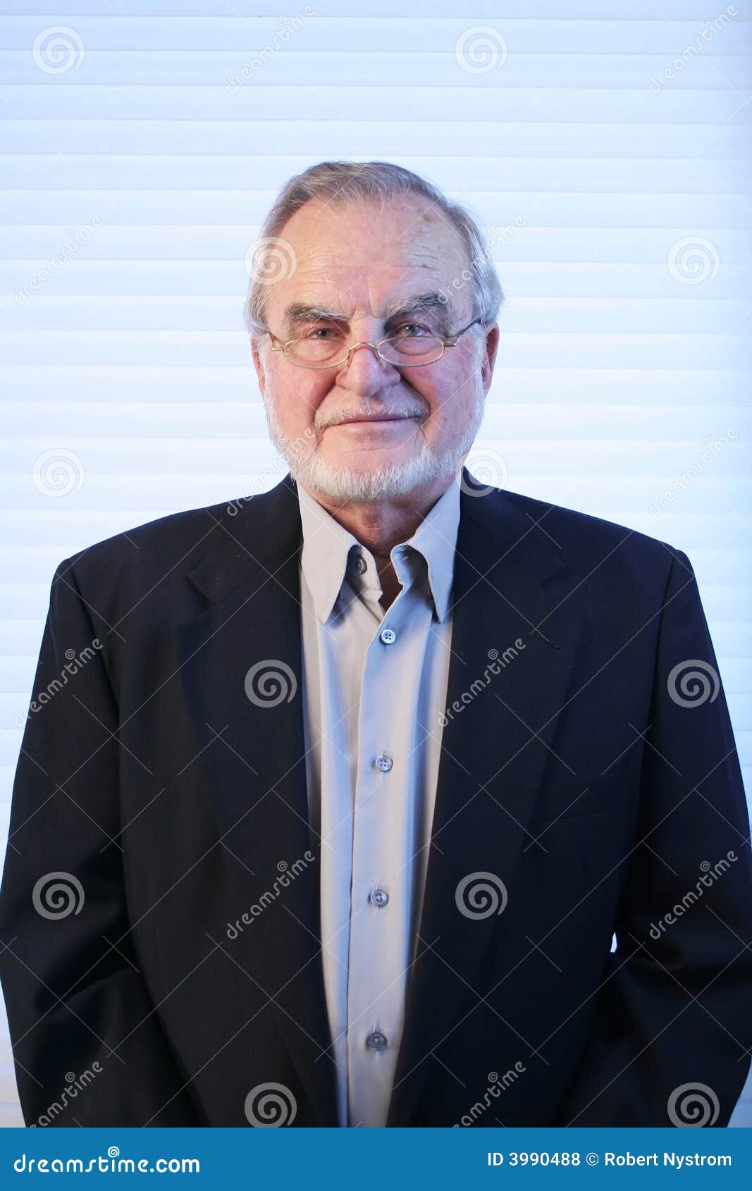 Executive Head Shot stock photo. Image of natural, male - 3990488