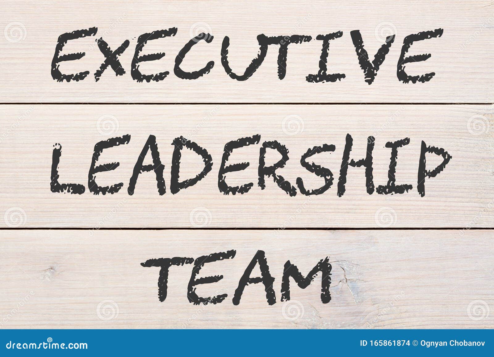 Executive Leadership Team stock photo. Image of boss - 165861874