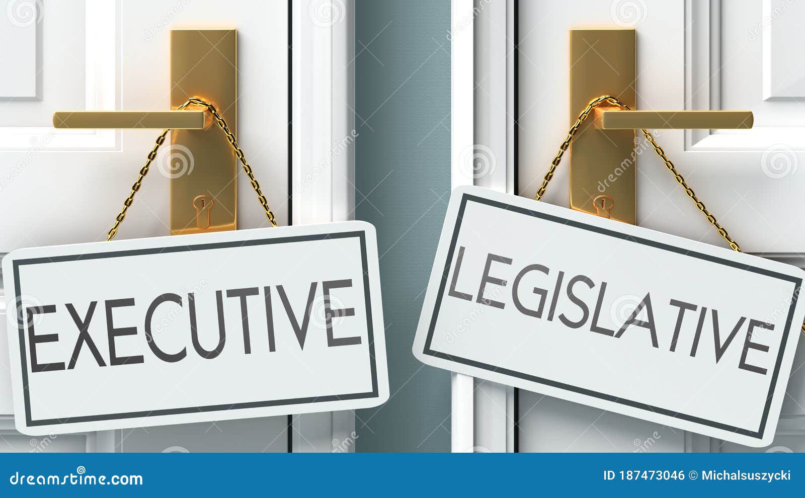 Executive and Legislative As a Choice - Pictured As Words Executive ...