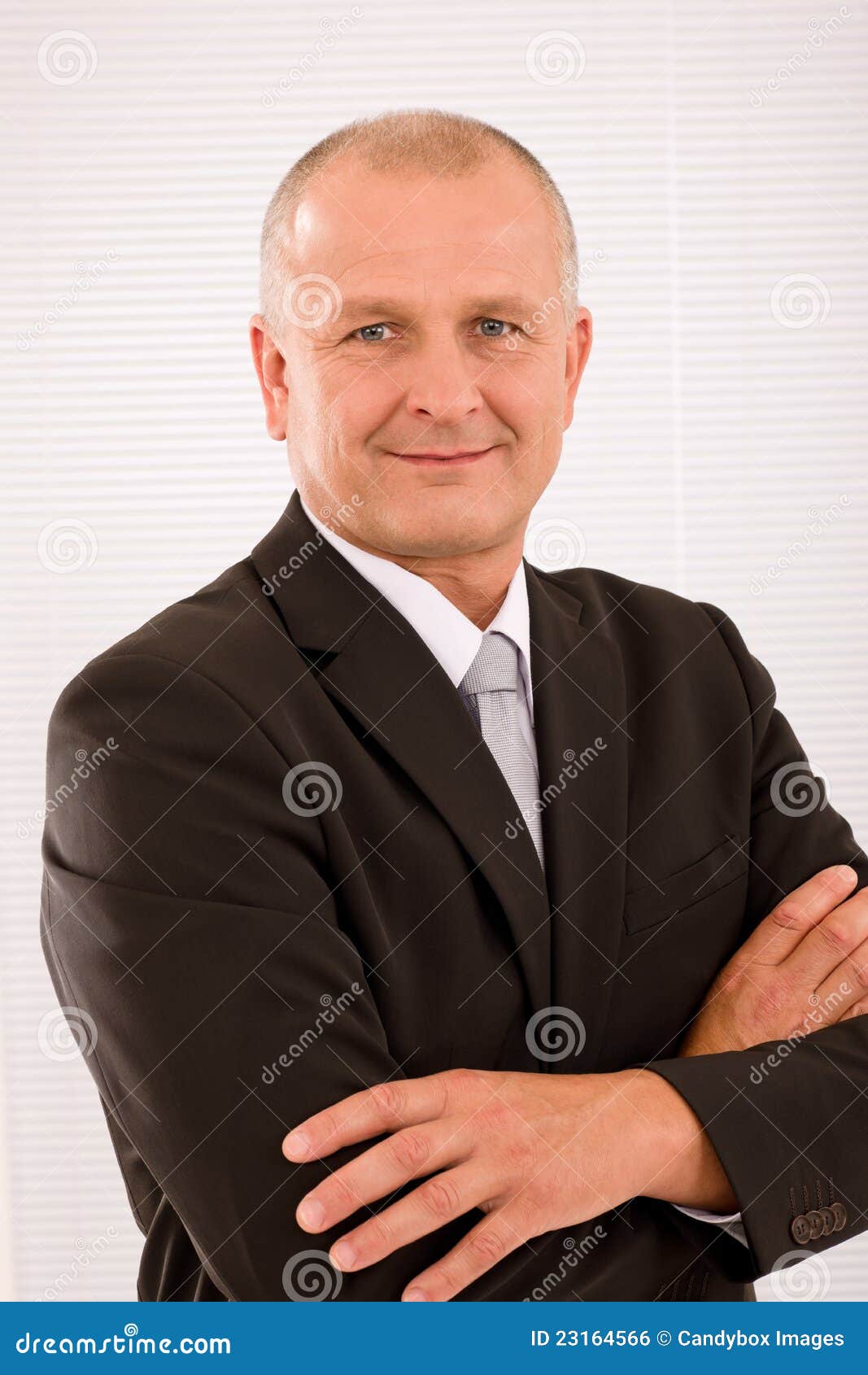 Executive Mature Businessman Professional Suit Stock Photo - Image of ...