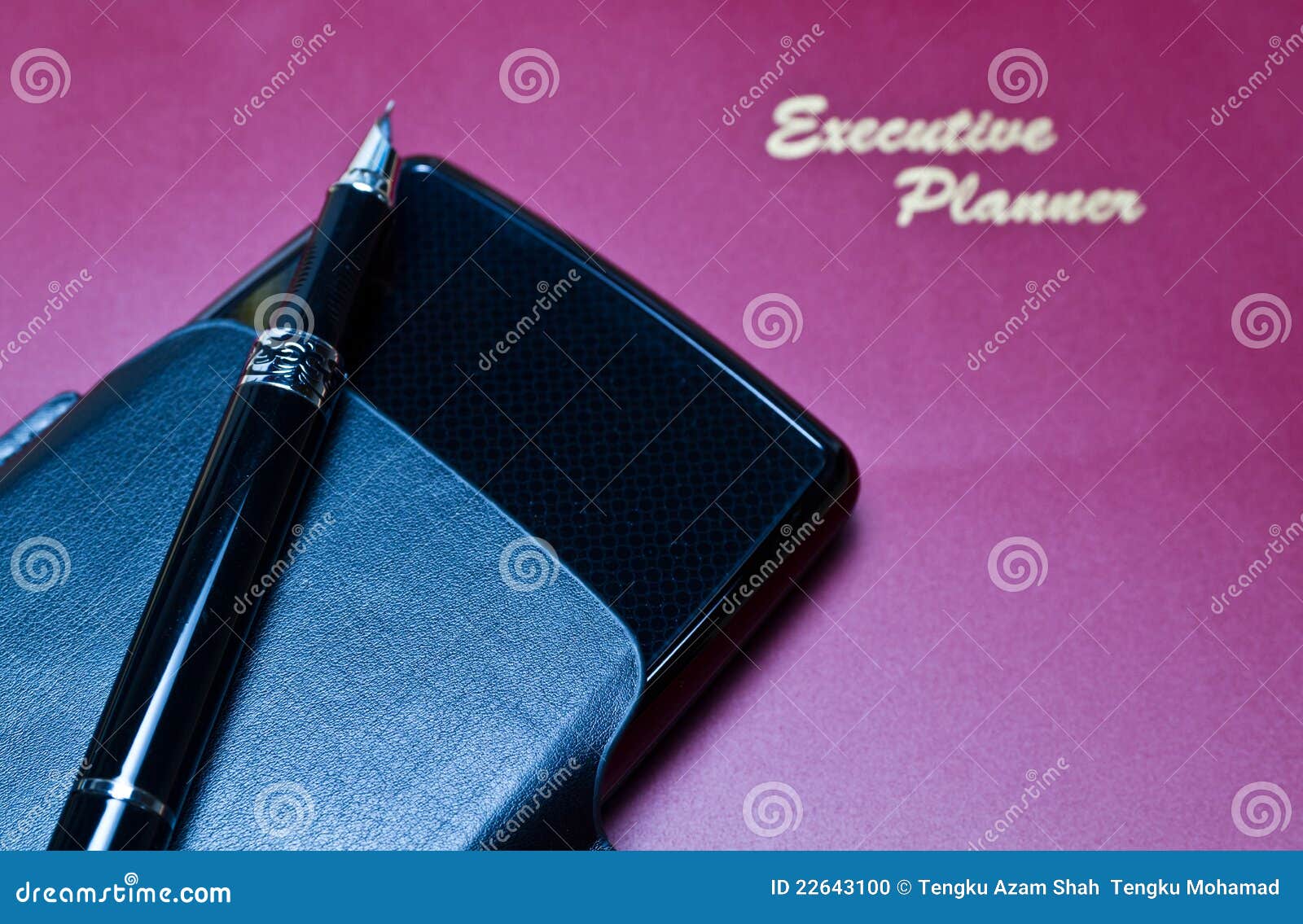Executive Planner Series I stock photo. Image of personal - 22643100