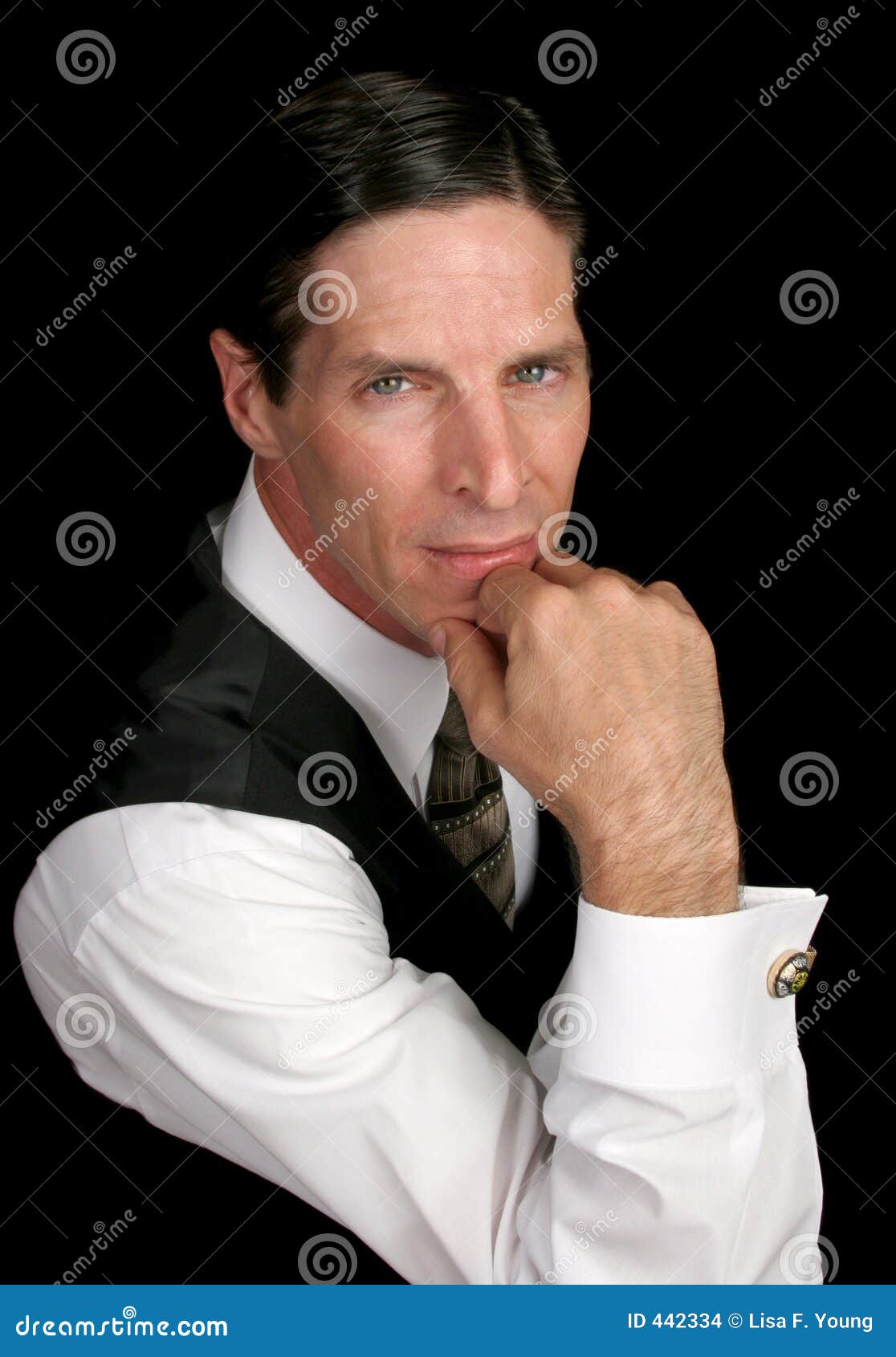Executive Portrait - Serious Stock Photo - Image of corporate, portrait ...
