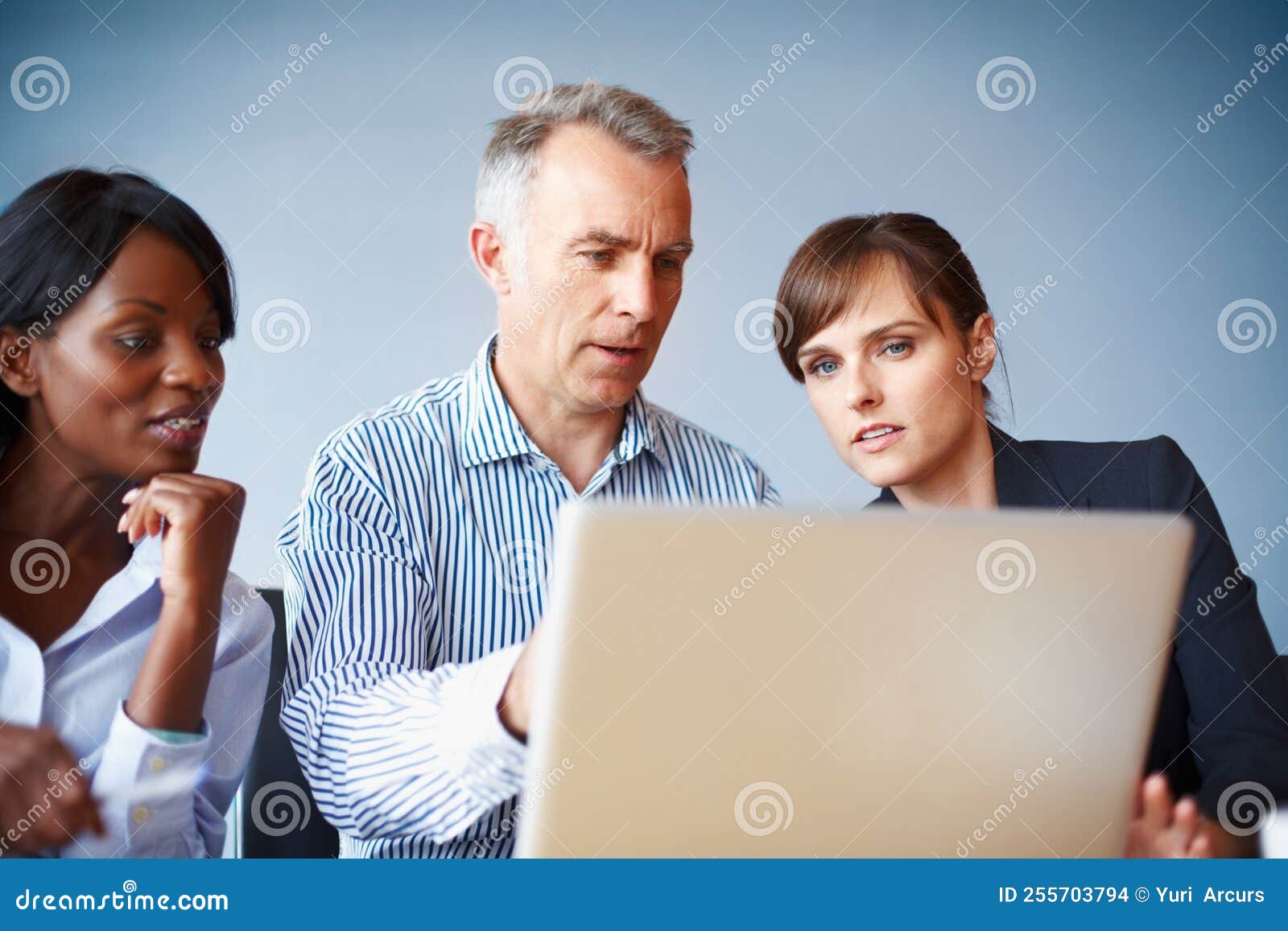 Executive Showing Presentation. Executive Showing Team Proposal on ...