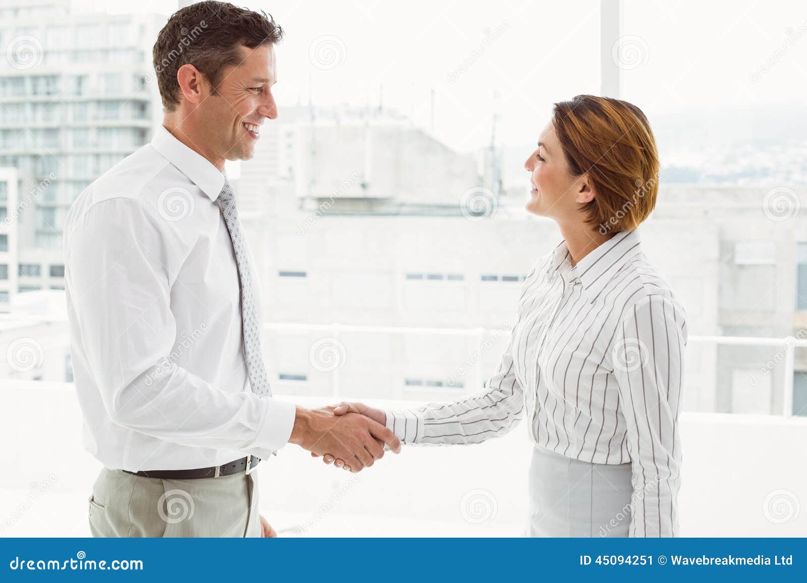 Executives Shaking Hands in Office Stock Image - Image of office, adult ...
