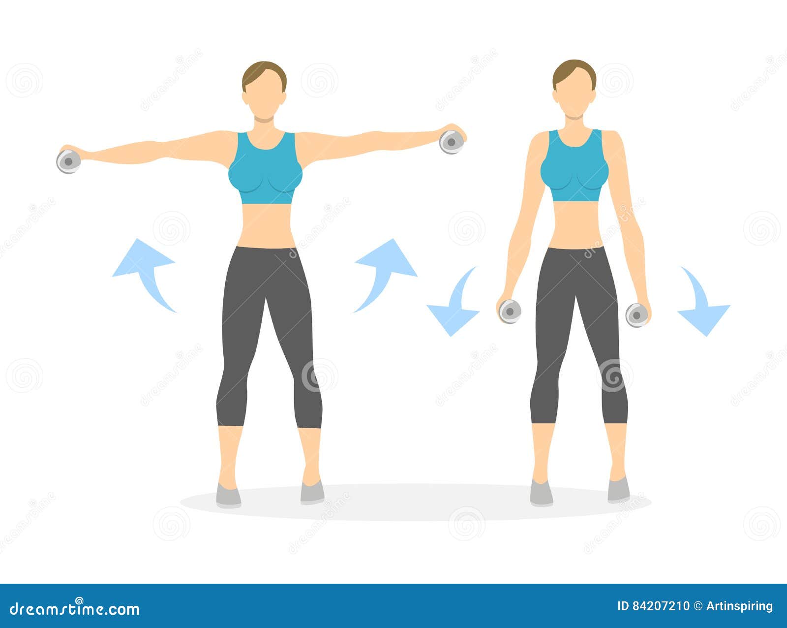 Exercice De Bras Pour Des Femmes Illustration de Vecteur - Illustration ...