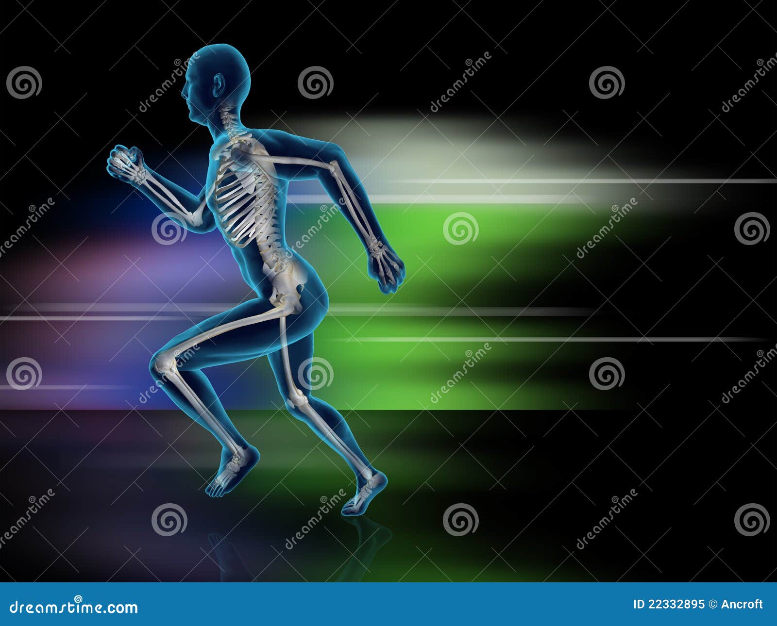 Exercise 3D stock illustration. Illustration of sport - 22332895