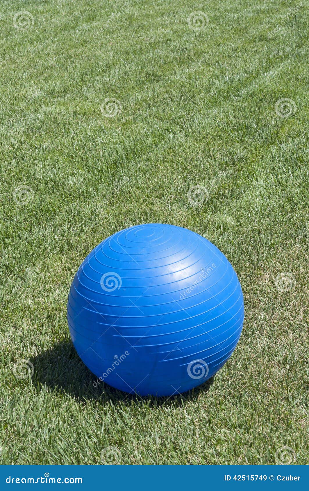 Exercise ball stock image. Image of physio, yoga, blue - 42515749