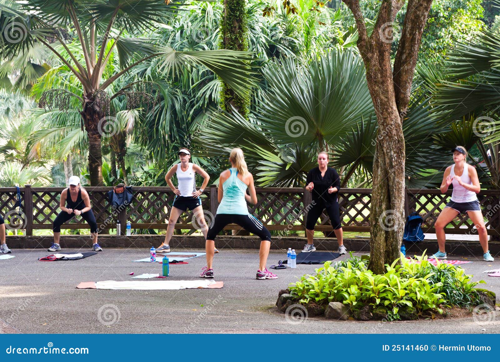 Exercise in Botanic Garden editorial image. Image of living - 25141460