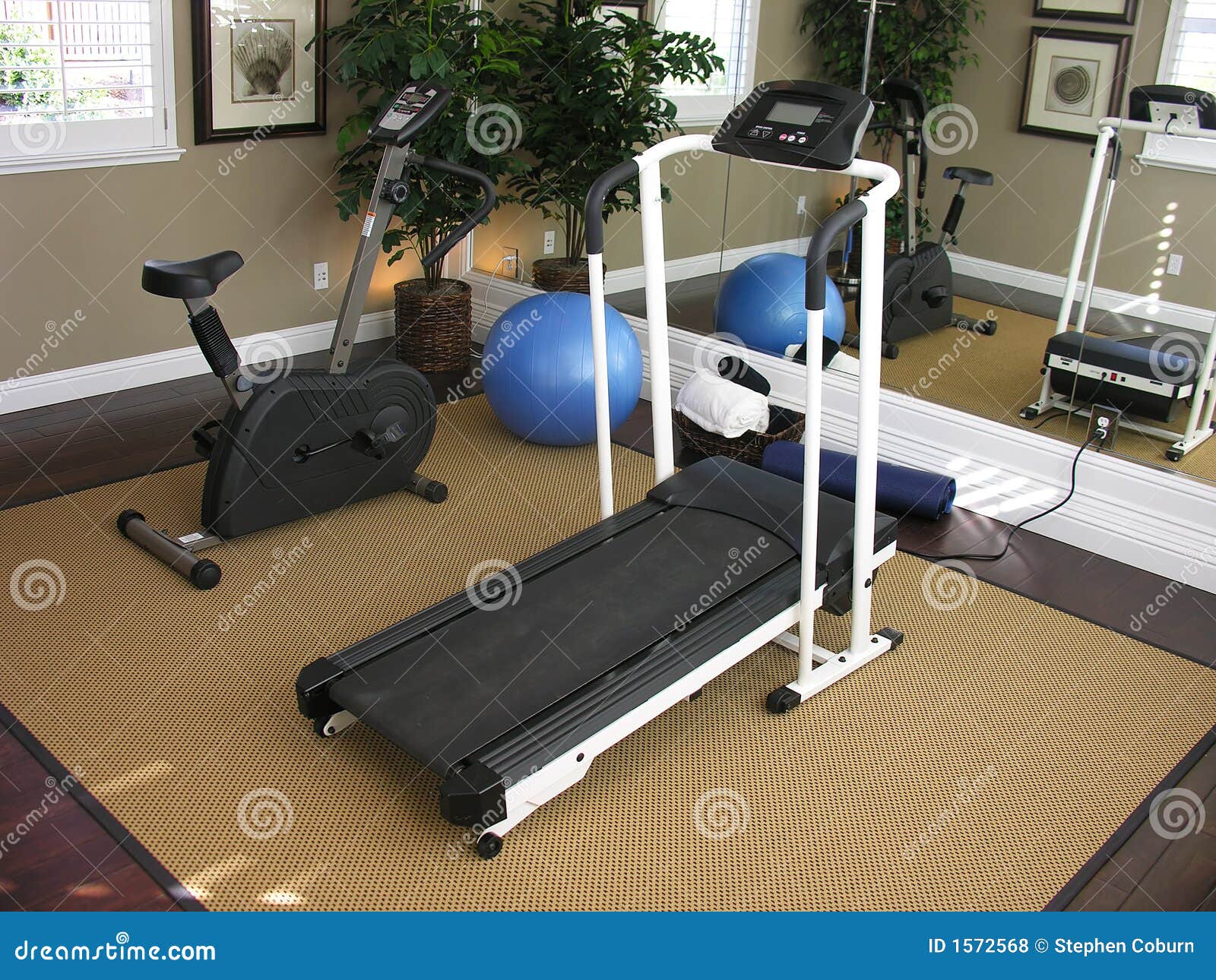 Exercise Room stock photo. Image of house, workout, sweat - 1572568