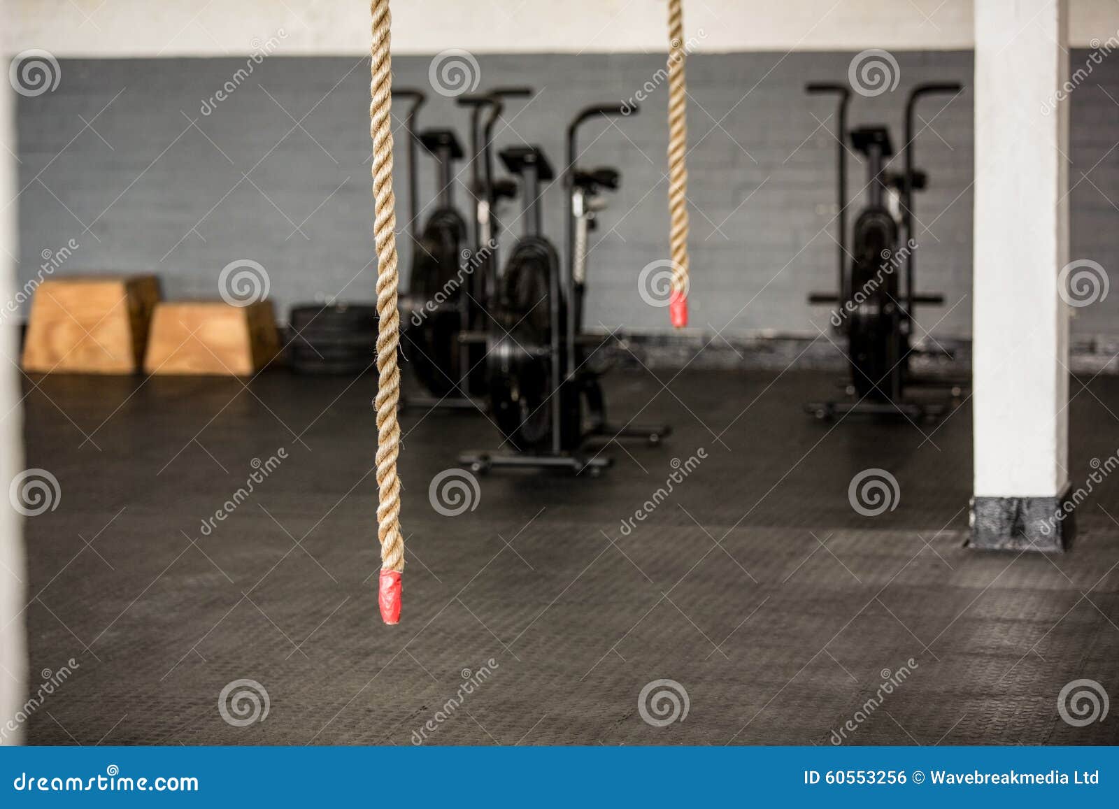 Exercise Rope and Equipment Stock Photo - Image of bodybuilding ...
