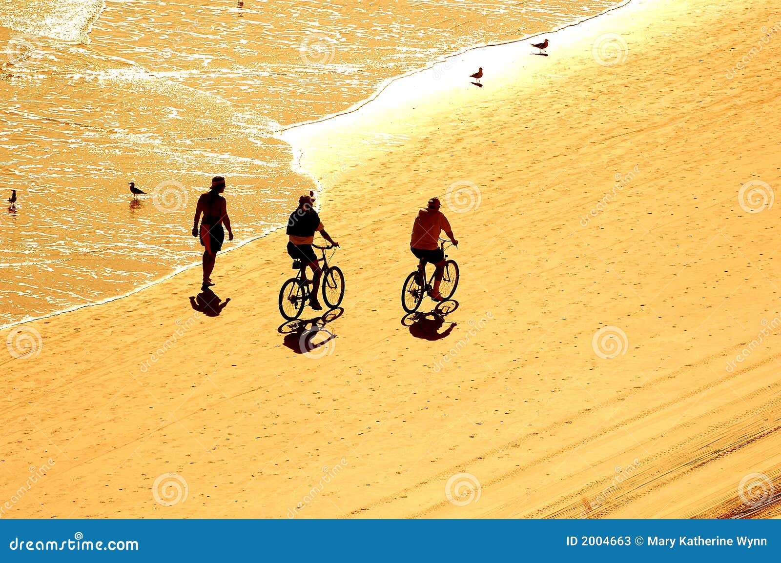 Exercise at Sunrise on Beach Stock Image - Image of beach, rise: 2004663