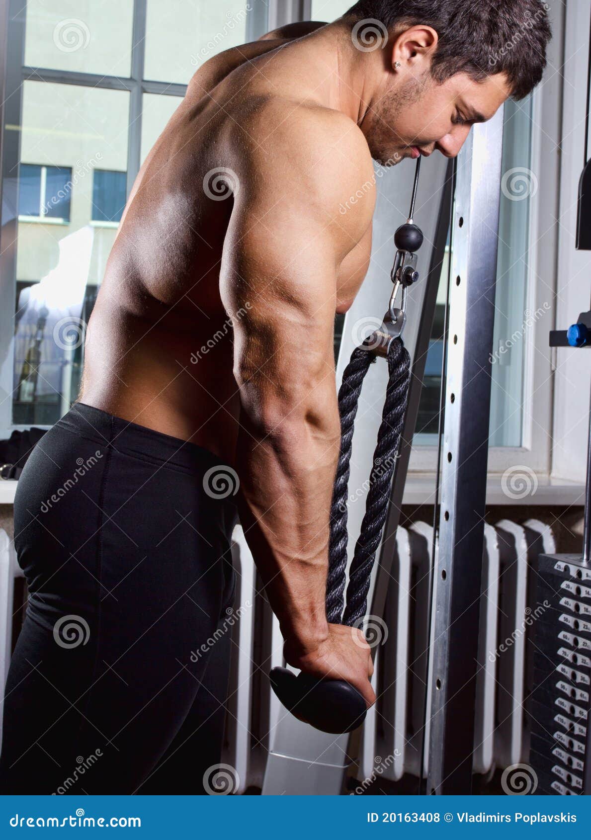 Exercise for triceps stock photo. Image of people, muscular - 20163408