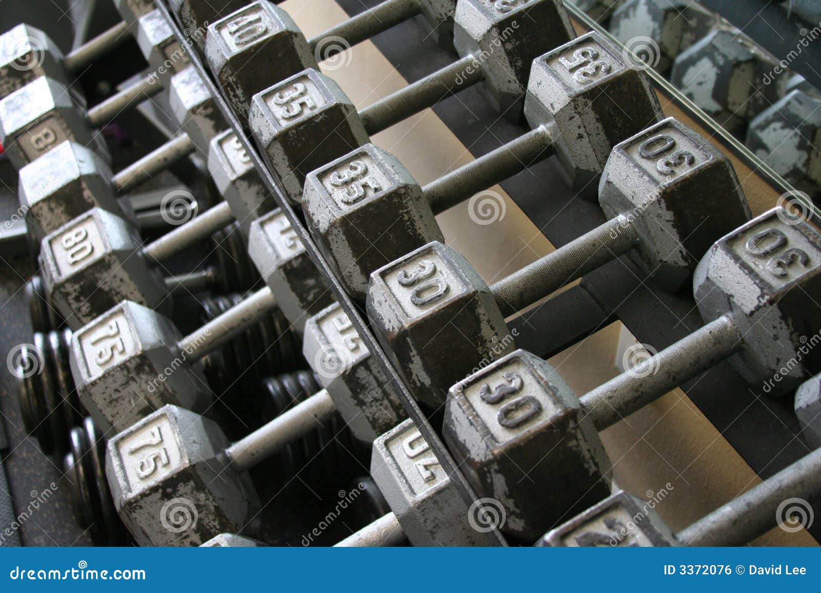 Exercise weights in rack stock photo. Image of weights - 3372076