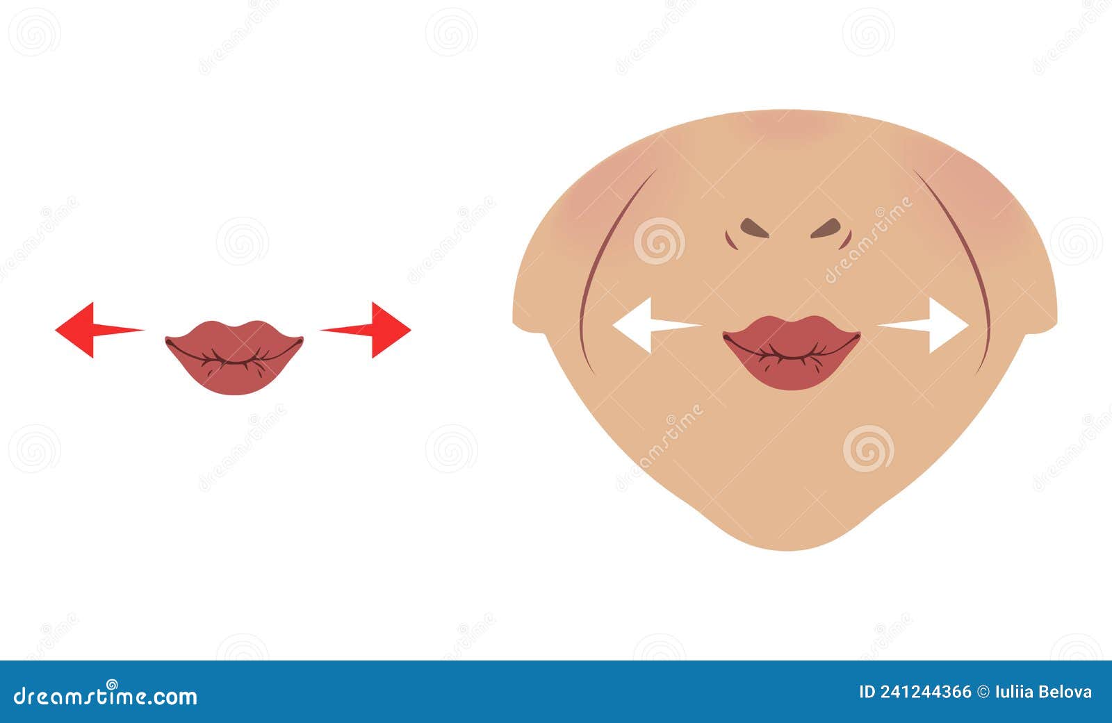 Tongue Reflexology Chart Vector Illustration | CartoonDealer.com #62608248