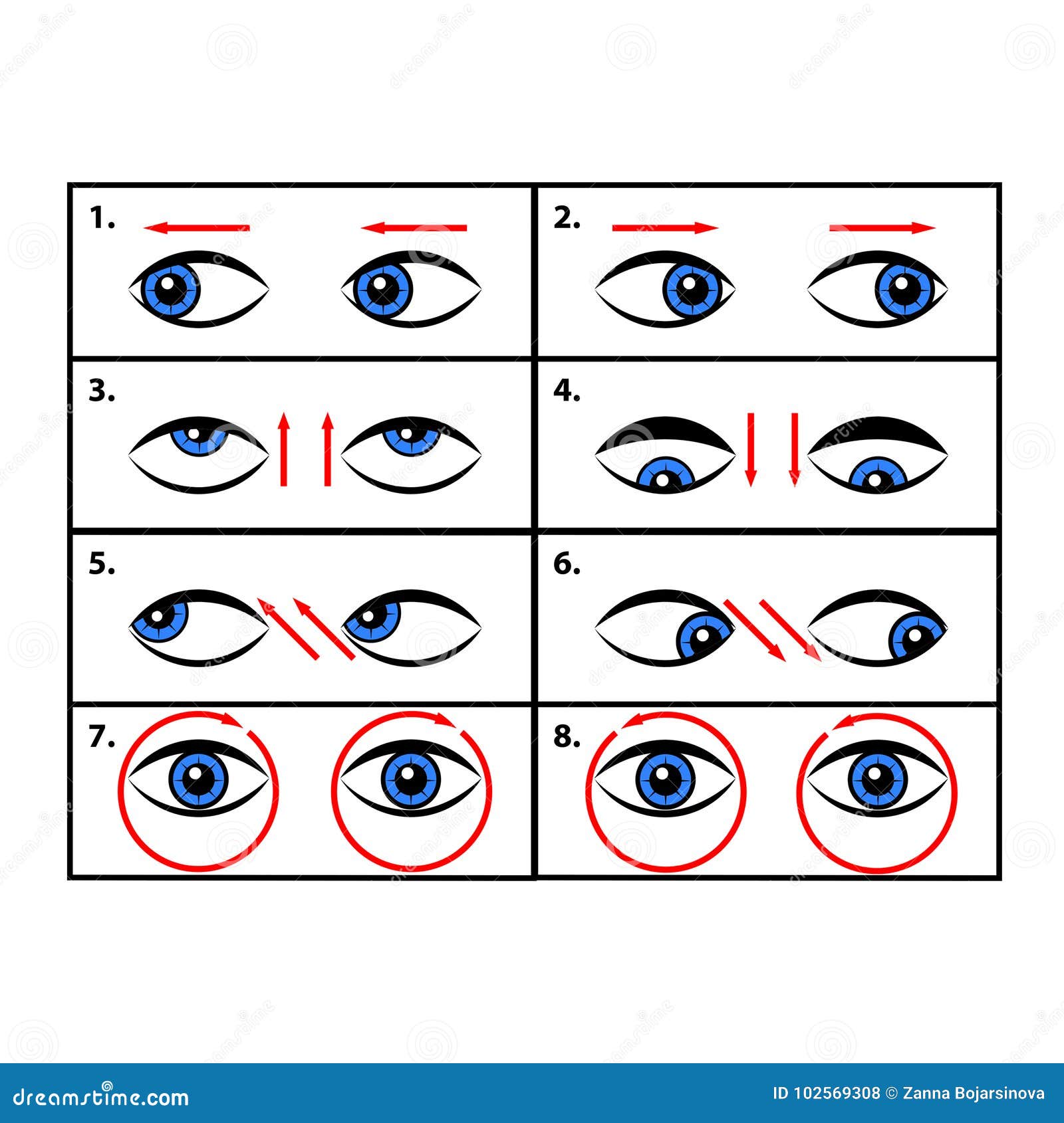 Exercises for Eyes. Vector Illustration Stock Vector - Illustration of ...