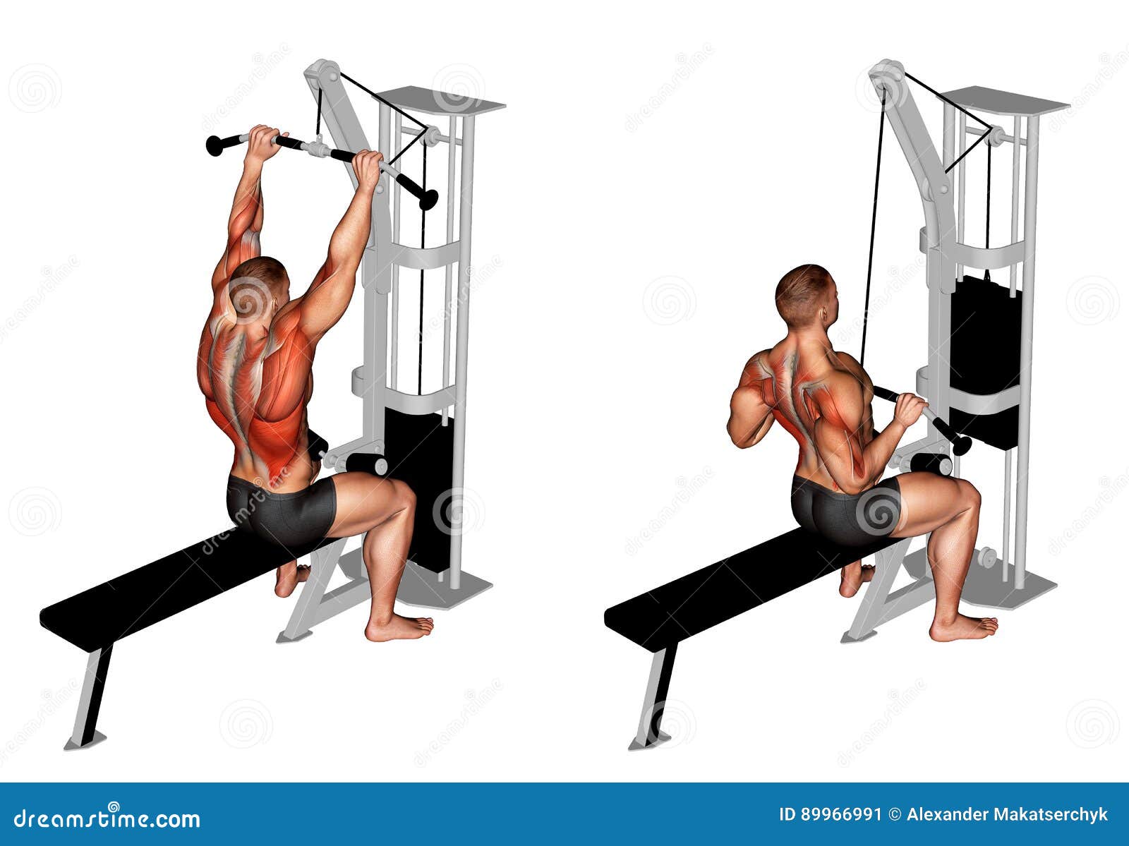 Reverse Grip Lat Pull Down