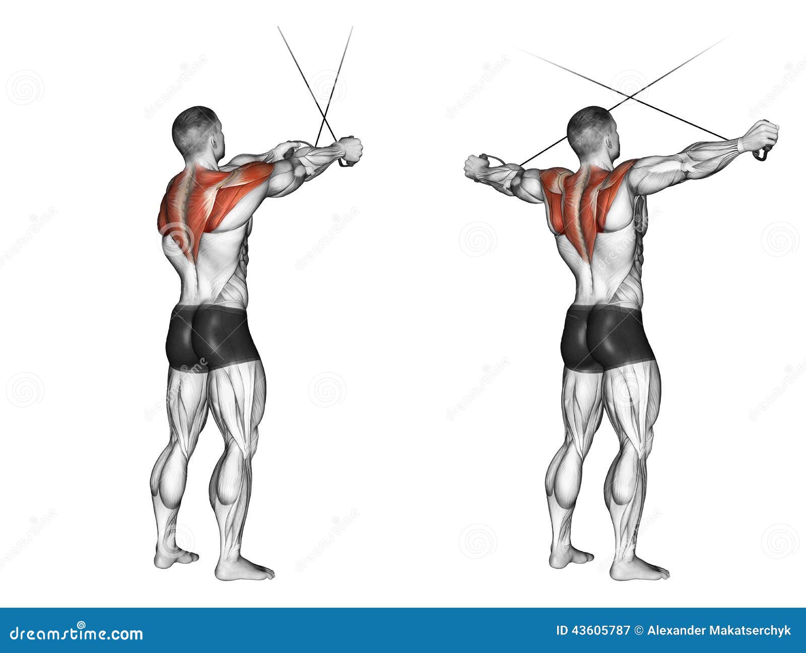Exercising. Cross Hands Ago from the Upper Blocks Stock Illustration ...