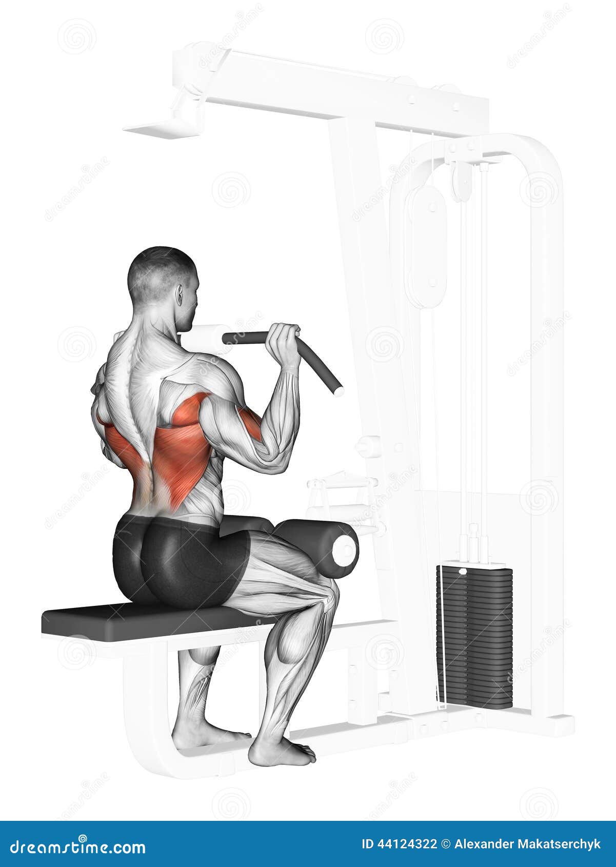 Exercising. End Of The Upper Block Straight Arms Stock Photo ...