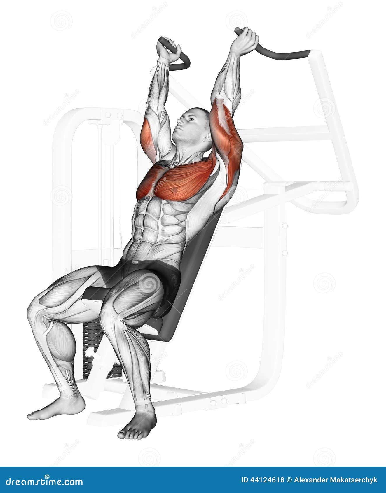 Exercising. End Of The Upper Block Straight Arms Stock Photo ...