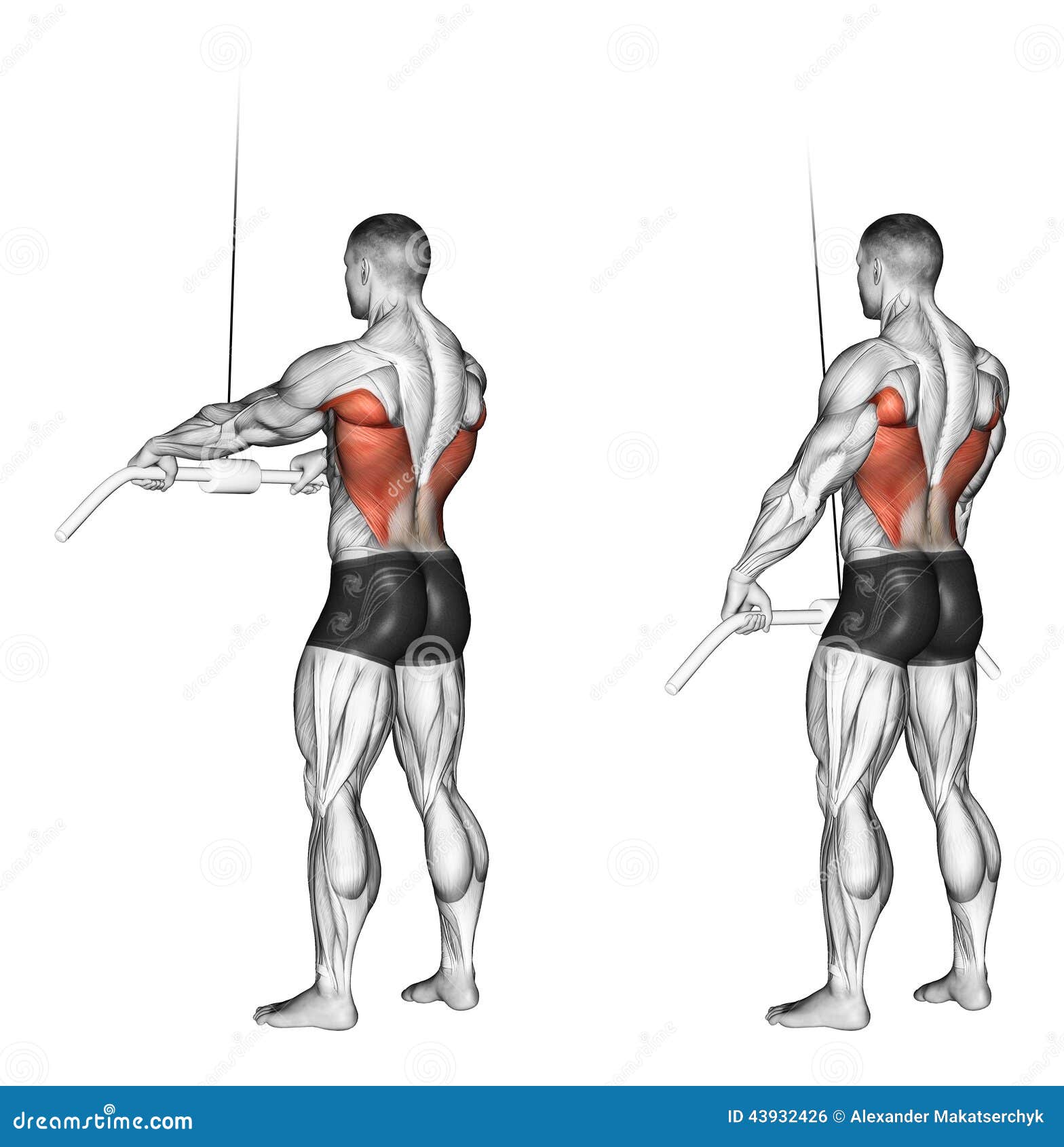 Exercising. End Of The Upper Block Straight Arms Stock Photo ...