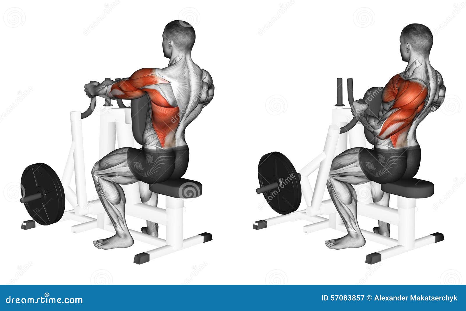 Exercising. Horizontal Thrust on Simulator Stock Illustration ...