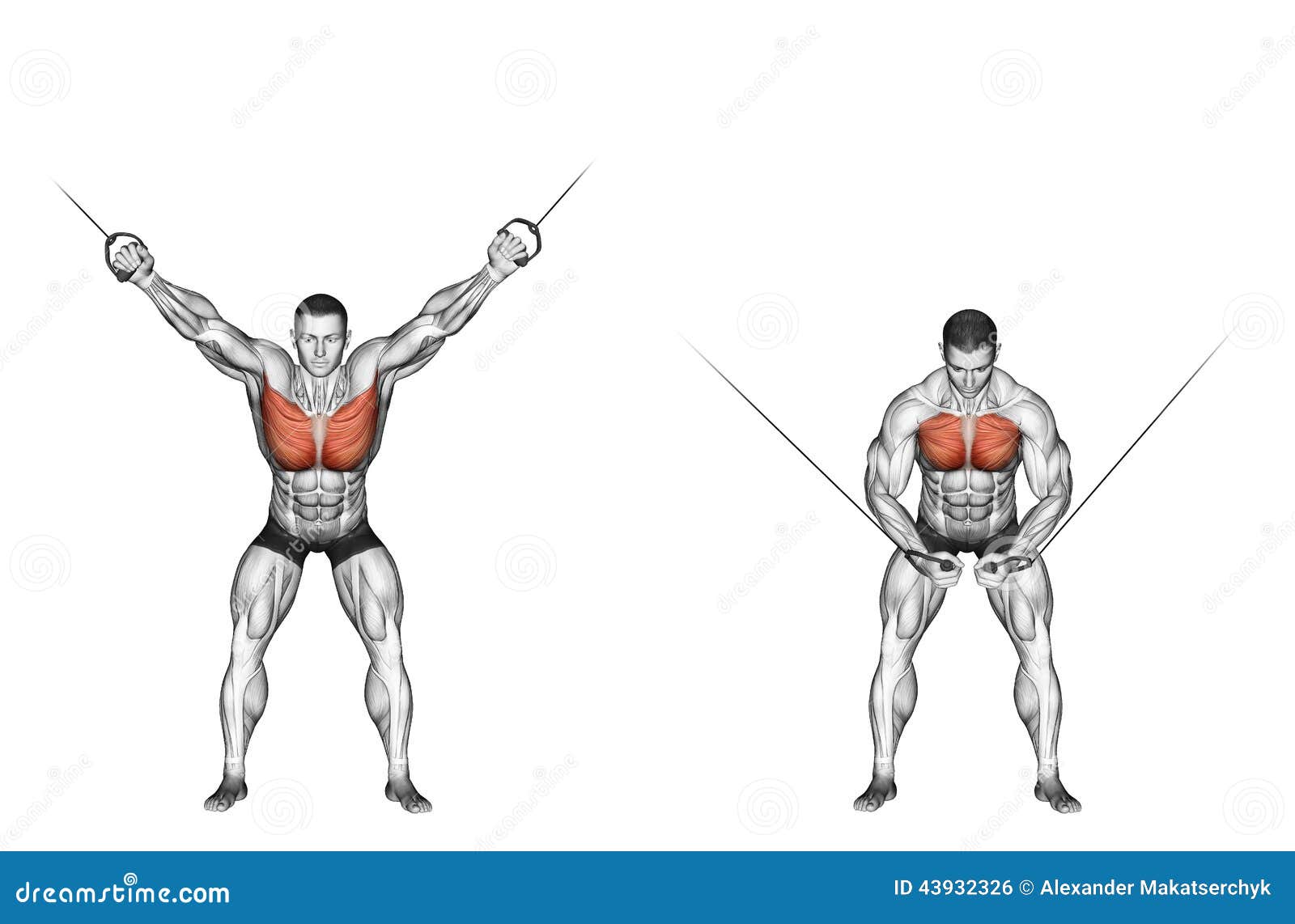 Exercising. Reduction of the Upper Blocks CROSS-OV Stock Illustration ...