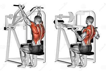 Exercising. Reverse Grip Machine Lat Pulldown Stock Illustration ...