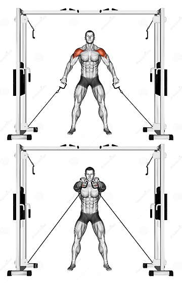 Exercising. Shoulders Cable Raise Front Stock Illustration ...