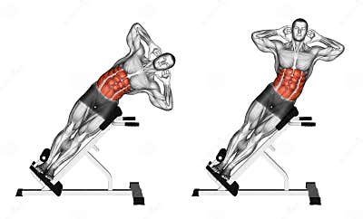 Exercising. Side Bend on Bench Stock Illustration - Illustration of ...