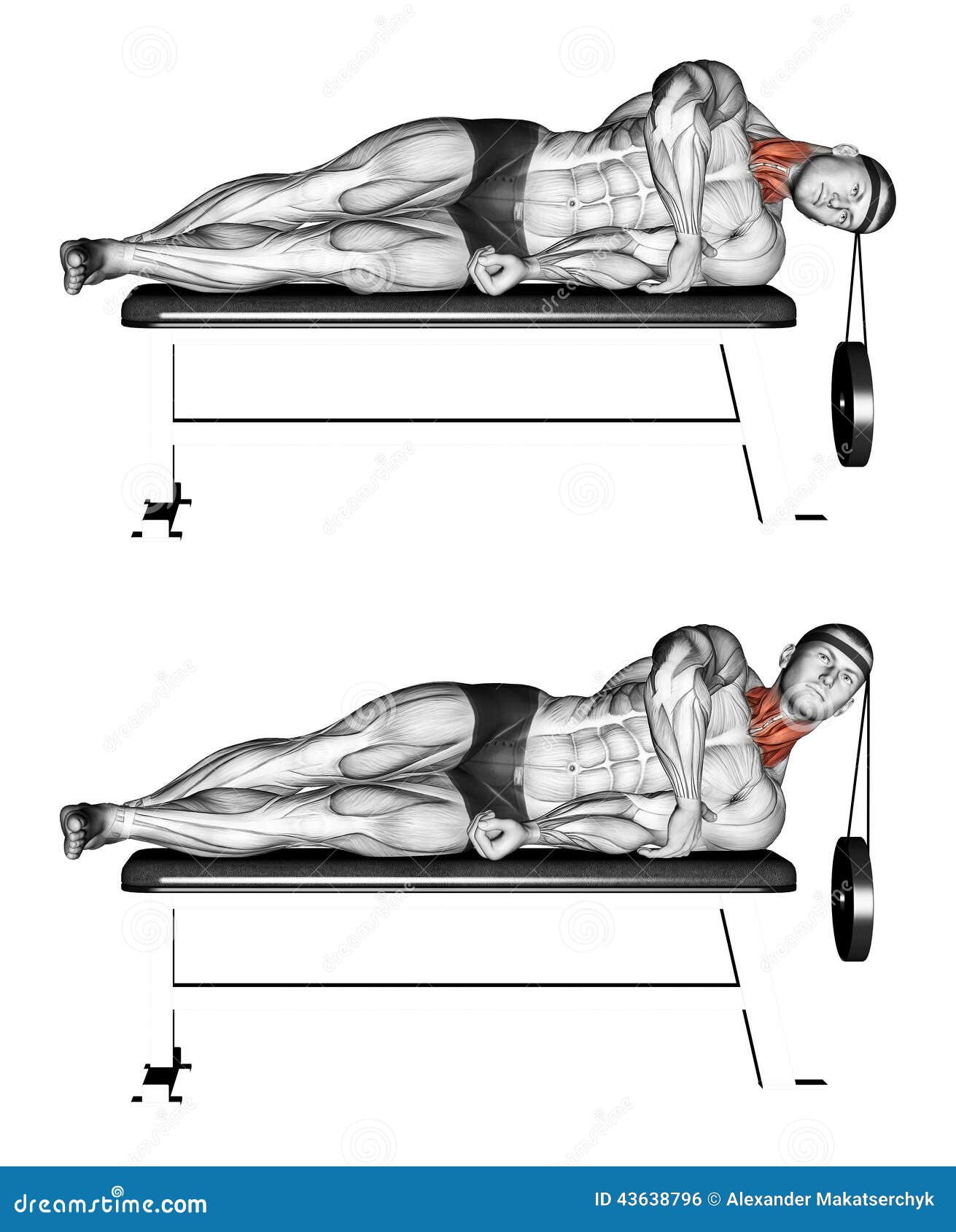 Exercising. Side Lifting Head Lying Stock Illustration - Illustration ...