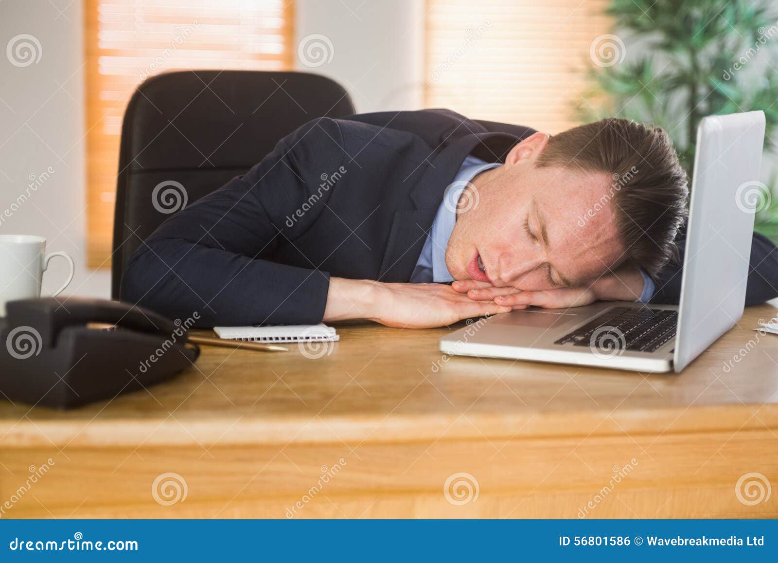Exhausted Businessman Sleeping on His Laptop Stock Photo - Image of ...