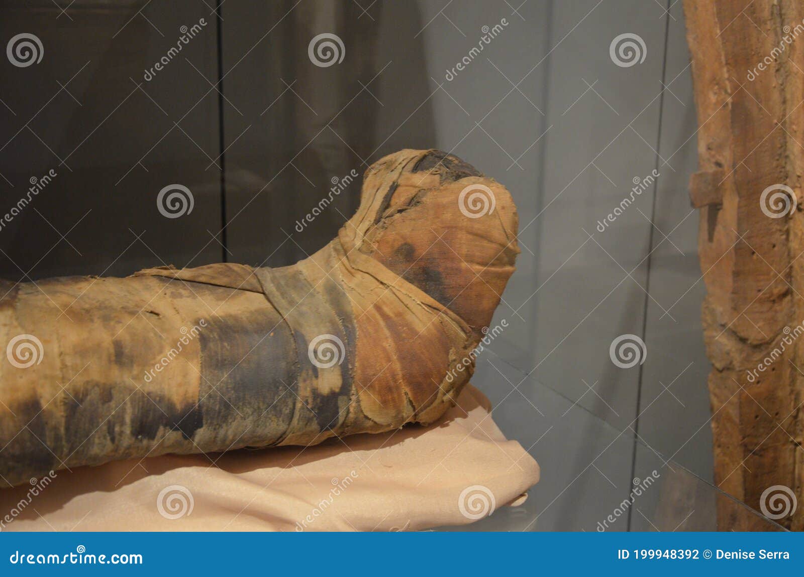 Exhibition of Mummies, Artifacts and Egyptian Finds at the Egyptian ...